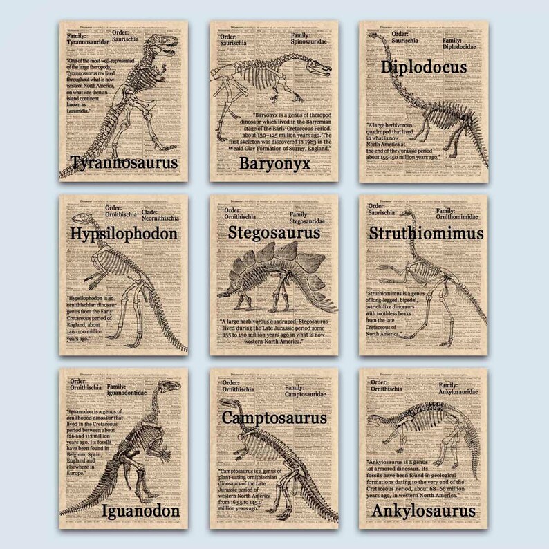 Dinosaur Decor, Dinosaur Wall Art, Kids Room Decor, Educational Posters ...