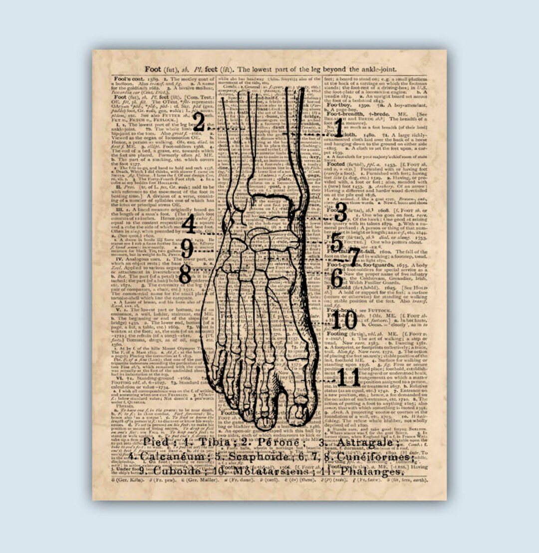 Foot Anatomy Print, Human Foot Poster, Old Dictionary Page Reproduction ...