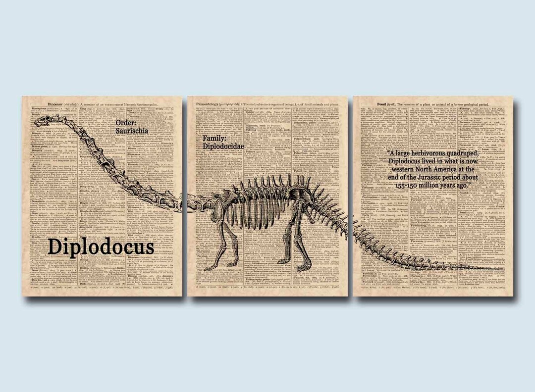 Diplodocus Art, Set of 3 Prints, Dinosaur Gift, Dinosaur Wall Art, Kids ...