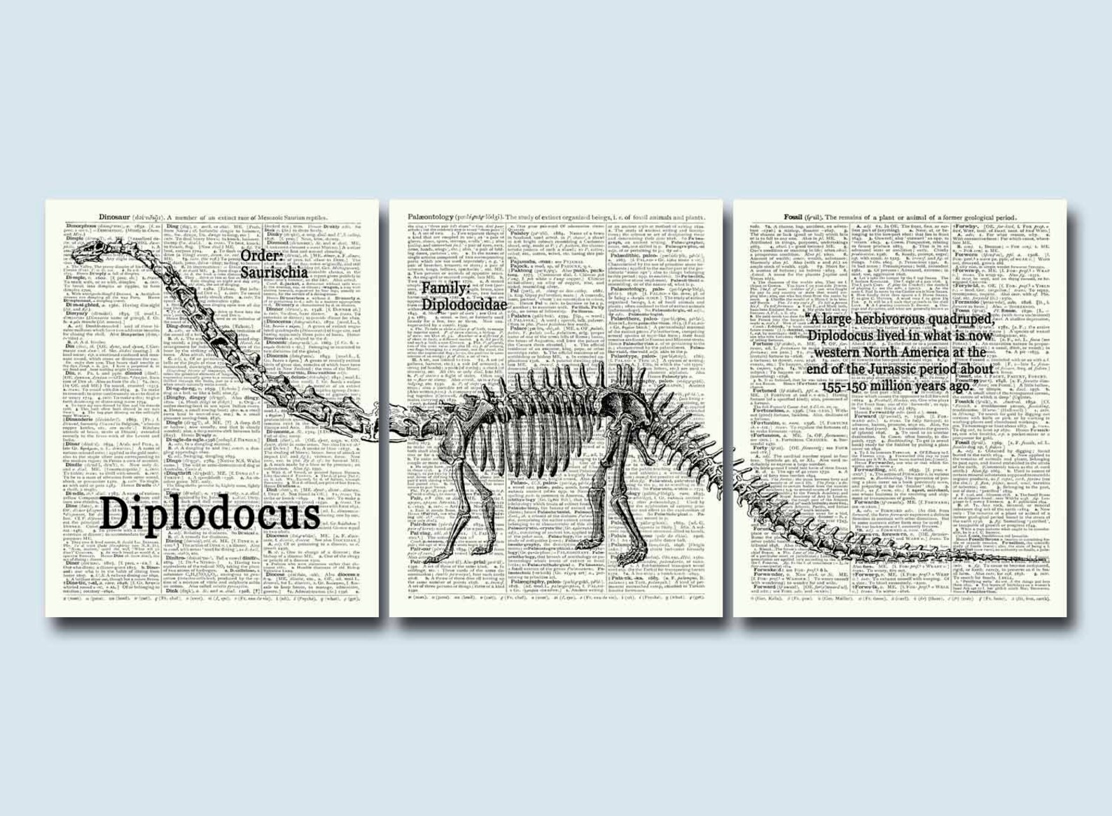 Diplodocus Art Set of 3 Prints Dinosaur Gift Dinosaur Wall - Etsy
