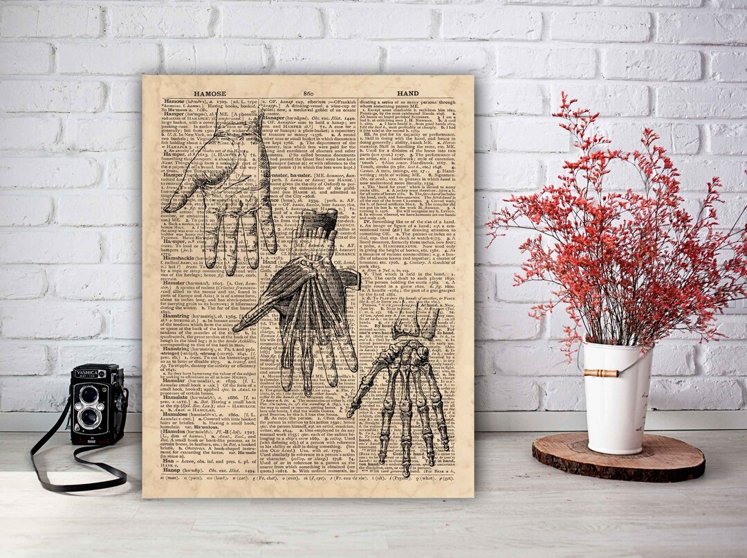 Hand Anatomy Print, Human Hand Poster, Hand Skeleton - Etsy