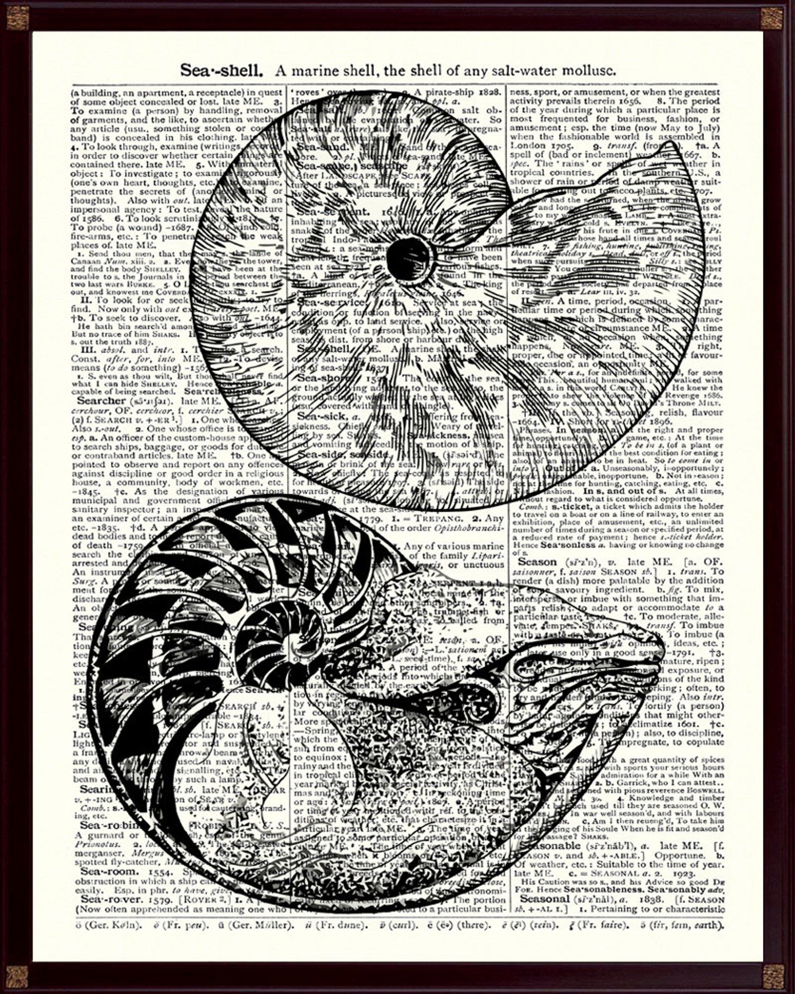 Nautilus Shell Art Seashell Print Beach House Decor | Etsy