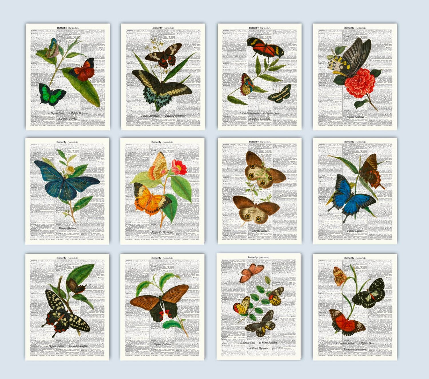 Butterfly Art Butterflies Poster Butterflies Decor | Etsy