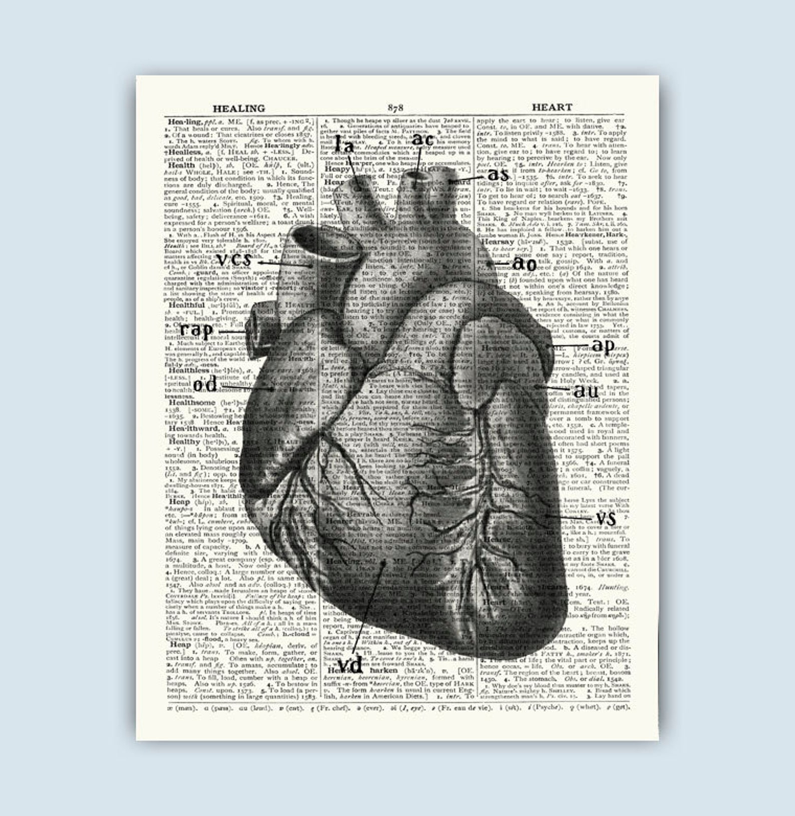 Anatomical Heart Print, Heart Doctor Gift, Cardiology Decor - Etsy