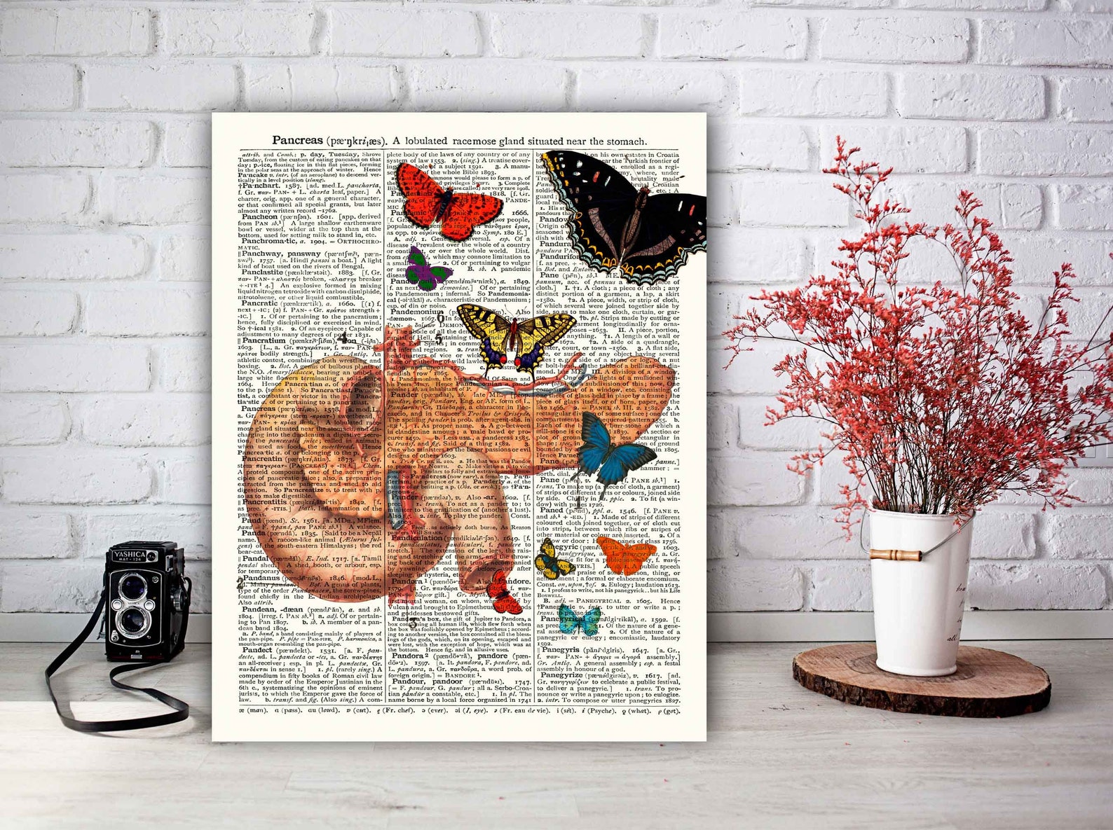 Pancreas Anatomy Art Human Pancreas Print Hepatologist Gift - Etsy