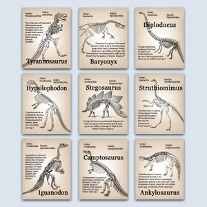 Dinosaur Decor, Dinosaur Wall Art, Kids Room Decor, Educational Posters ...