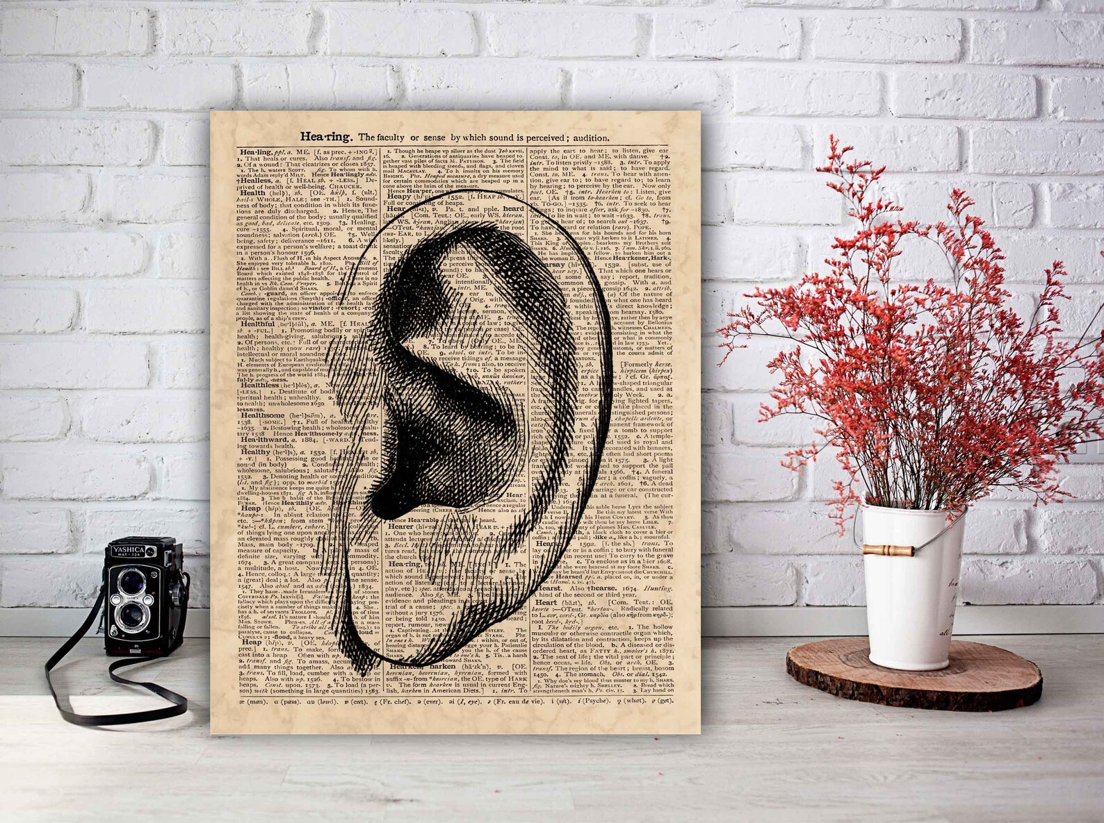 Ear Anatomy Print Hearing Doctor Gift Audiology Decor - Etsy