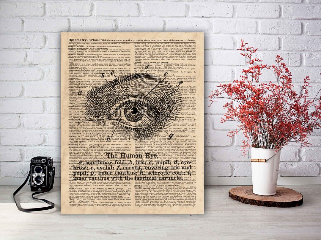 Optometry Art Print, Human Eye Poster, Optometrist Gift ...