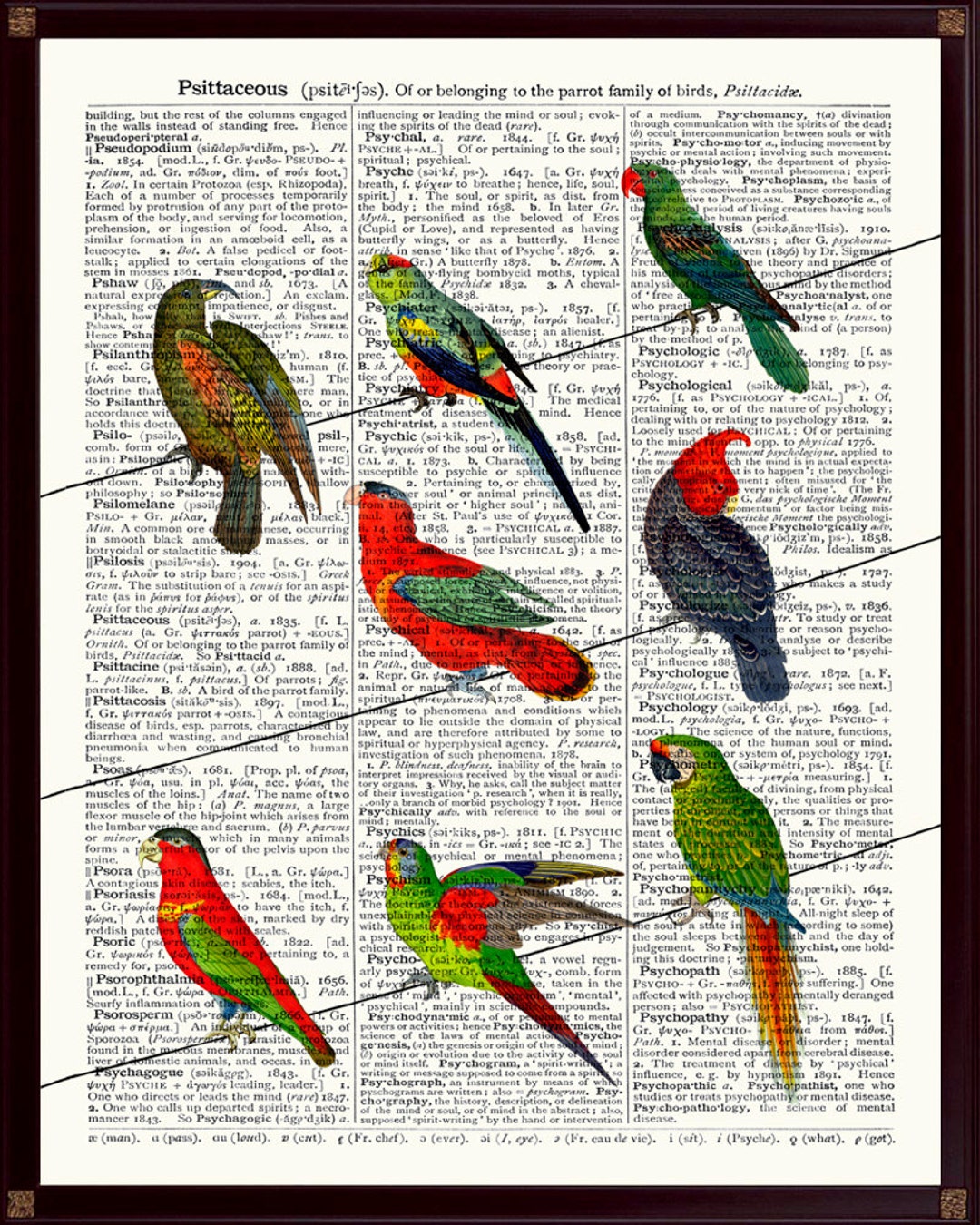 Parrots Print, Parrots Art, Bird Print, Nursery Art, Bird Nursery Decor ...