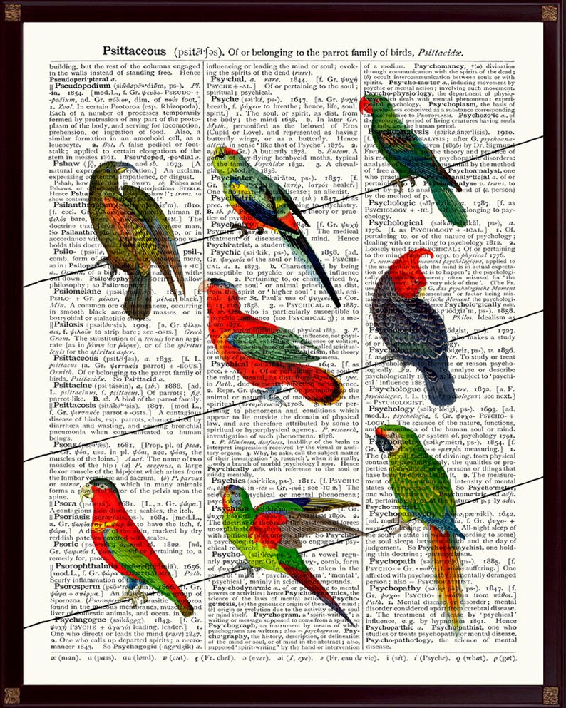 Parrots Print, Parrots Art, Bird Print, Nursery Art, Bird Nursery Decor ...
