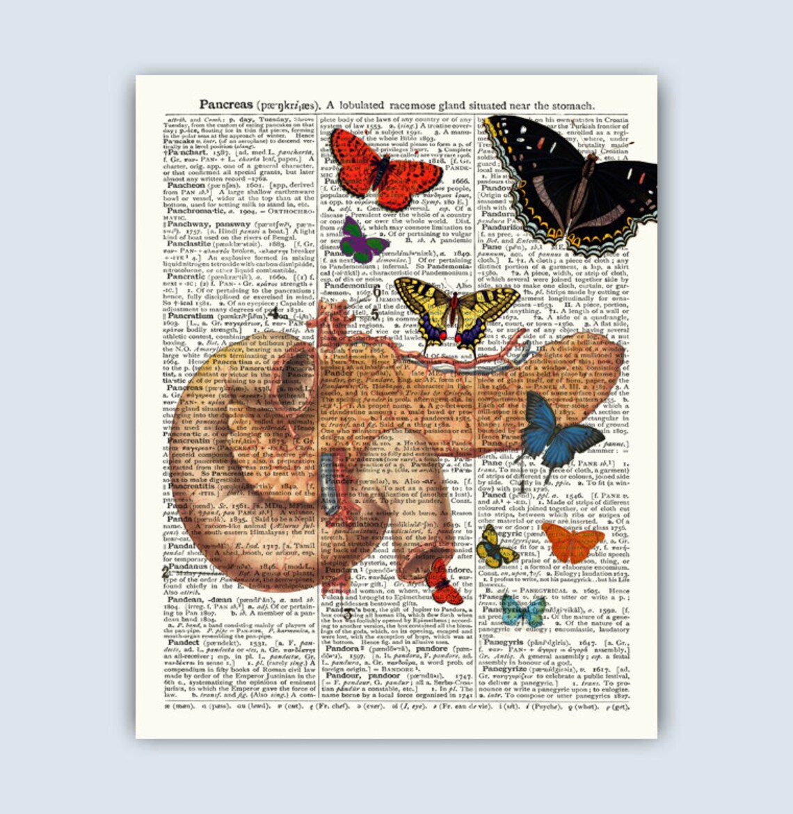 Pancreas Anatomy Art Human Pancreas Print Hepatologist Gift - Etsy