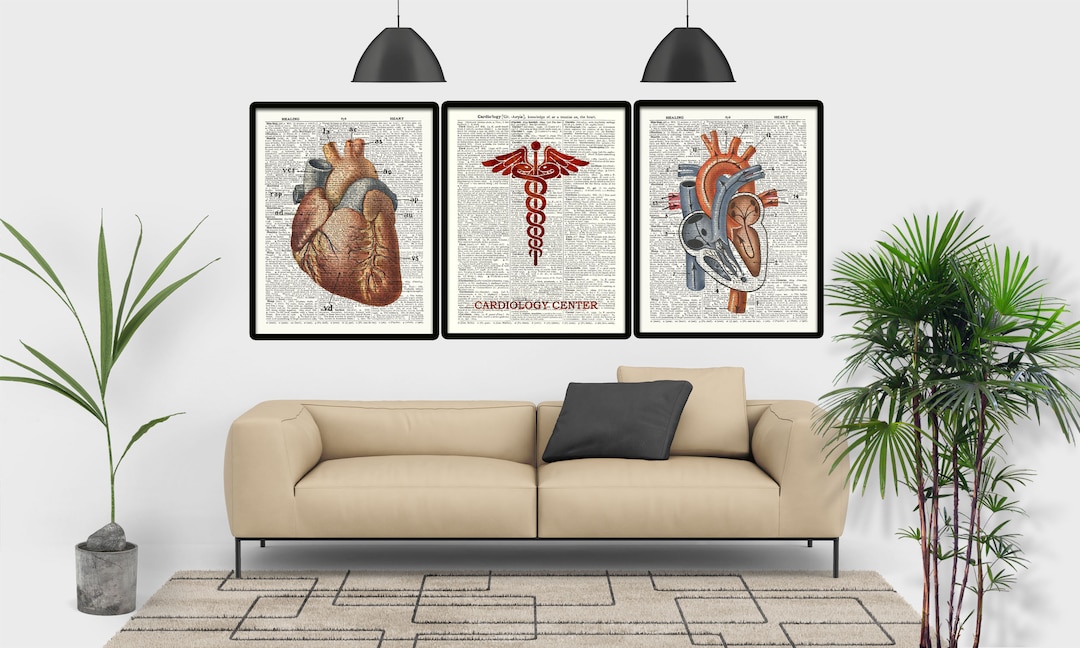 Vintage Heart Anatomy Art Prints, Cardiology Office Decor, Set of 3 - Etsy