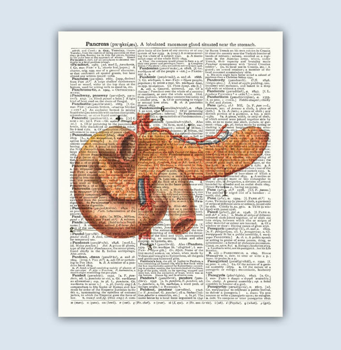 Pancreas Anatomy Art, Pancreas Poster, Endocrinologist Gift - Etsy