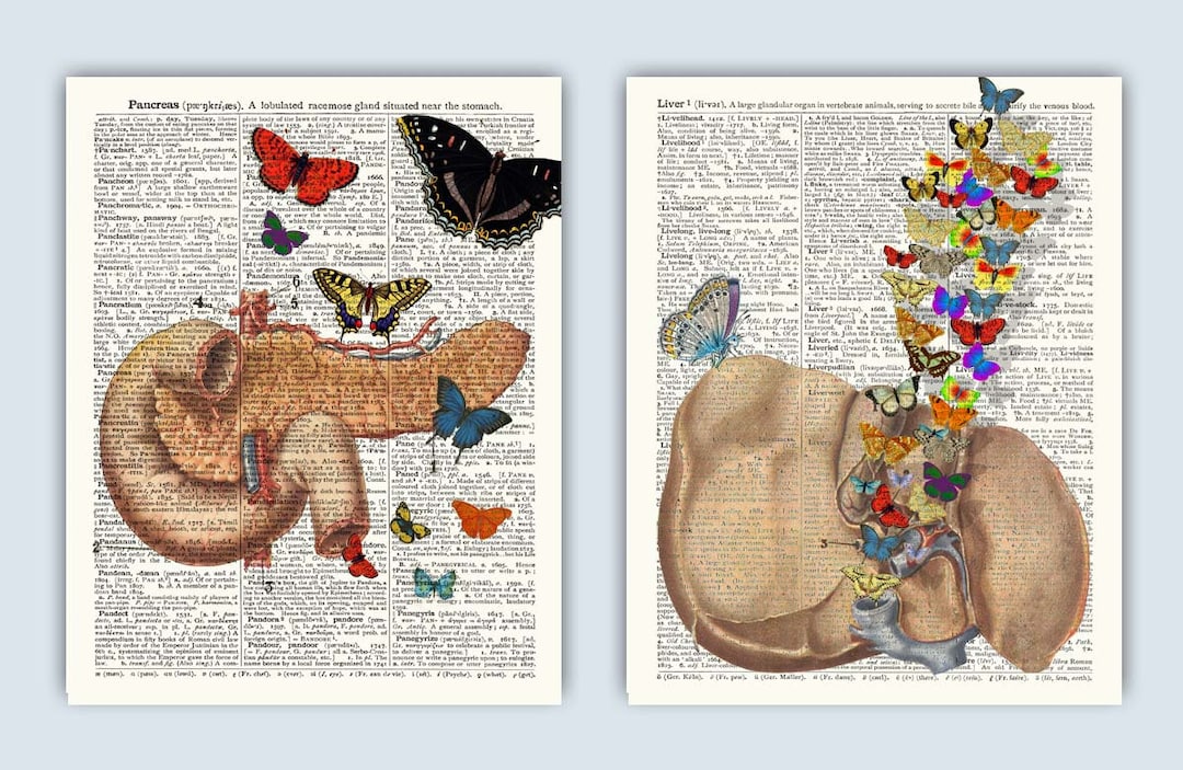 Pancreas, Liver, Butterflies, Fantasy Anatomy Art, Pancreas Butterflies ...