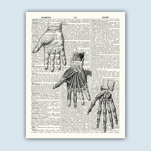 Hand Anatomy Print, Human Hand Poster, Hand Skeleton - Etsy