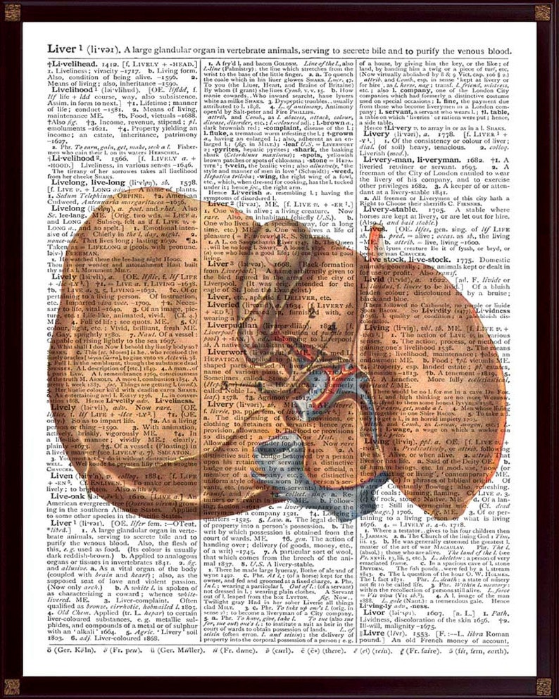 Liver Anatomy Art Print Human Liver Wall Art Cadeau - Etsy France