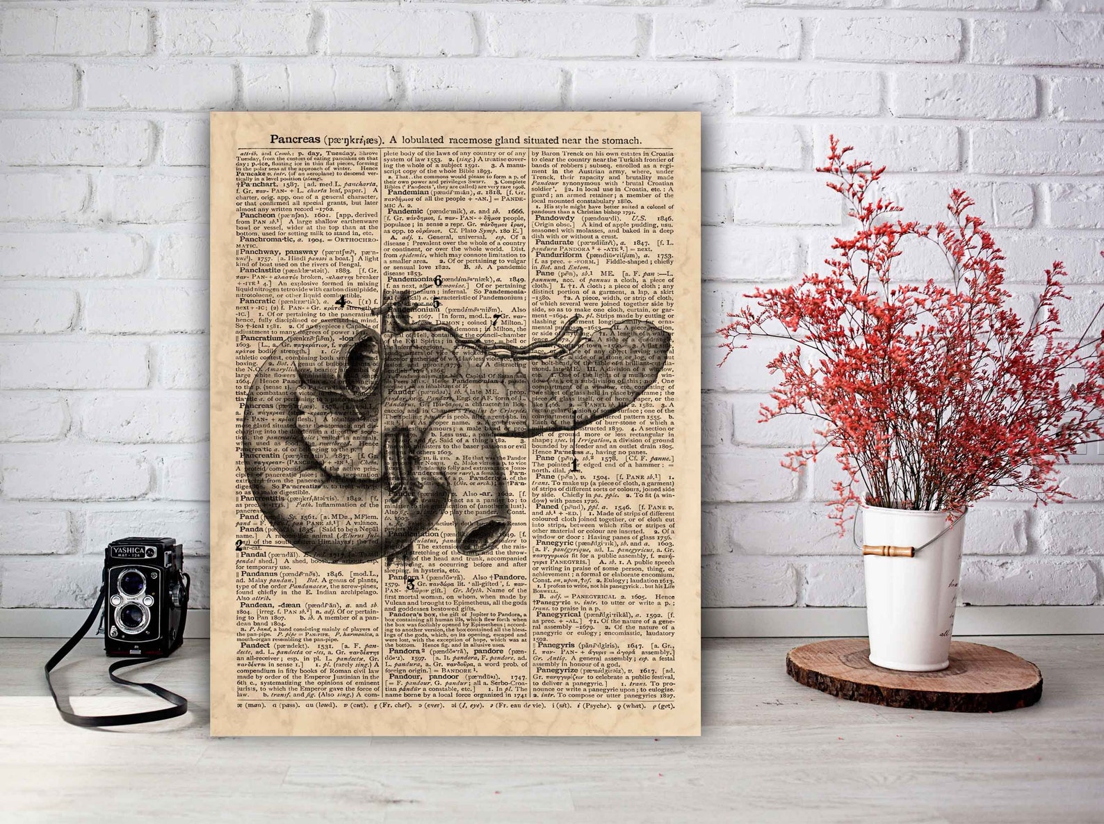 Pancreas Anatomy Art, Pancreas Poster, Endocrinologist Gift - Etsy