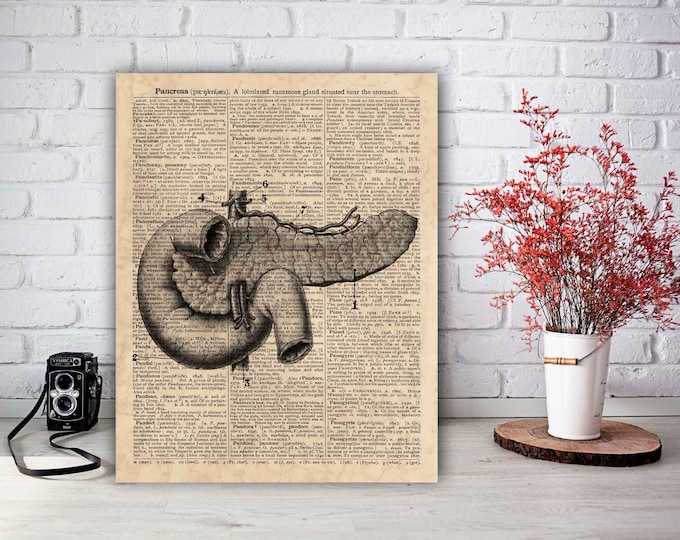 Pancreas Art Print Doctor Poster Gift Medical Art Print Digestive ...