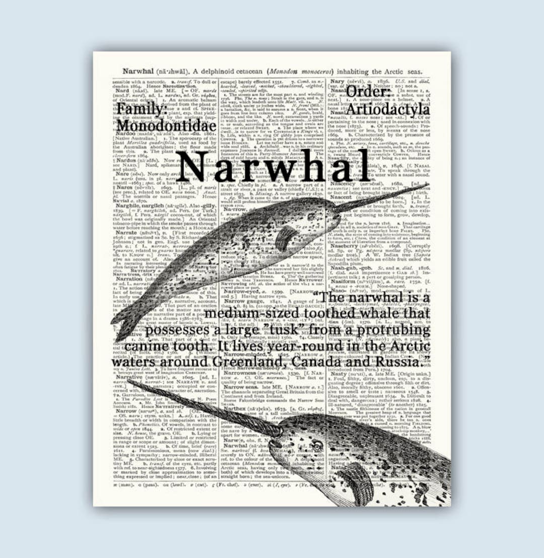 Narwhal Print, Narwhal Poster, Nautical Wall Art, Whale Narwahl, Kids ...