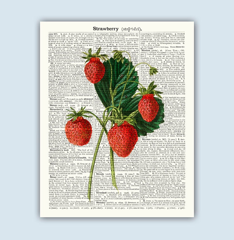 Strawberry Poster Botanical Print Fruit Art Strawberry Art | Etsy