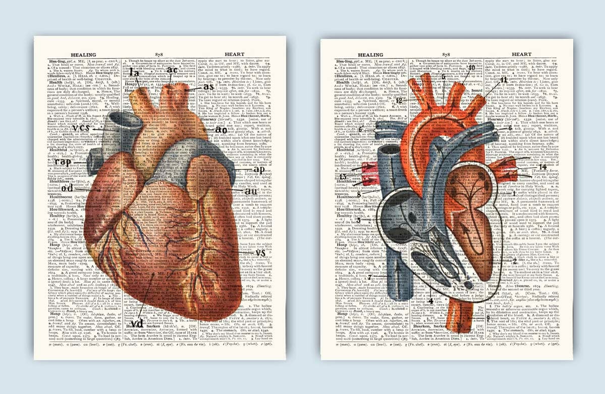 Heart Anatomy Prints Cardiology Decor Heart Doctor Gift Set - Etsy