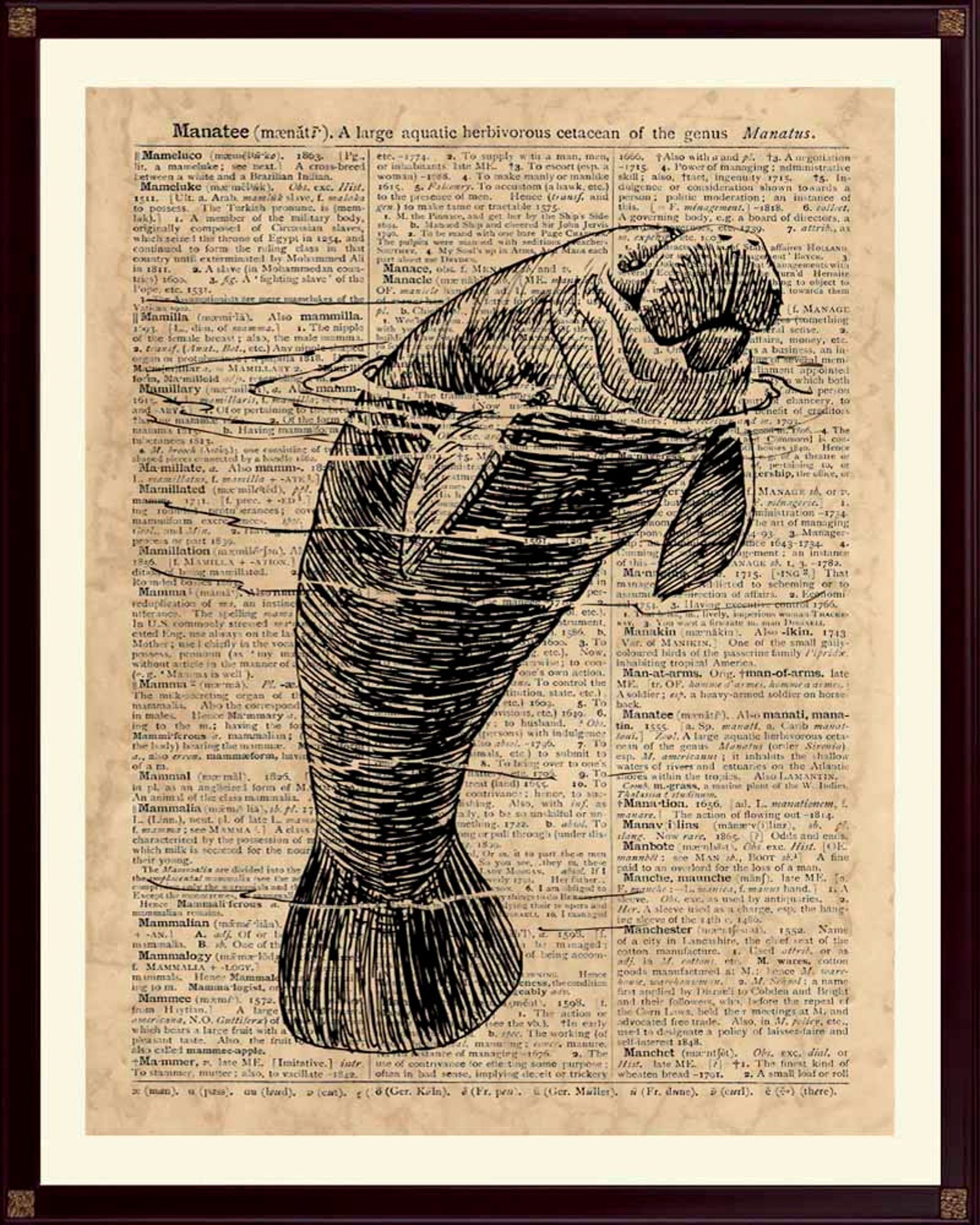 Manatee Art Print, Vintage Dictionary Page, Sea Life Decor - Etsy