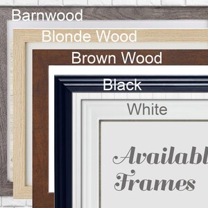 Softball Coach Photo Picture Frame Wall Decor, Thank You Gifts for ...