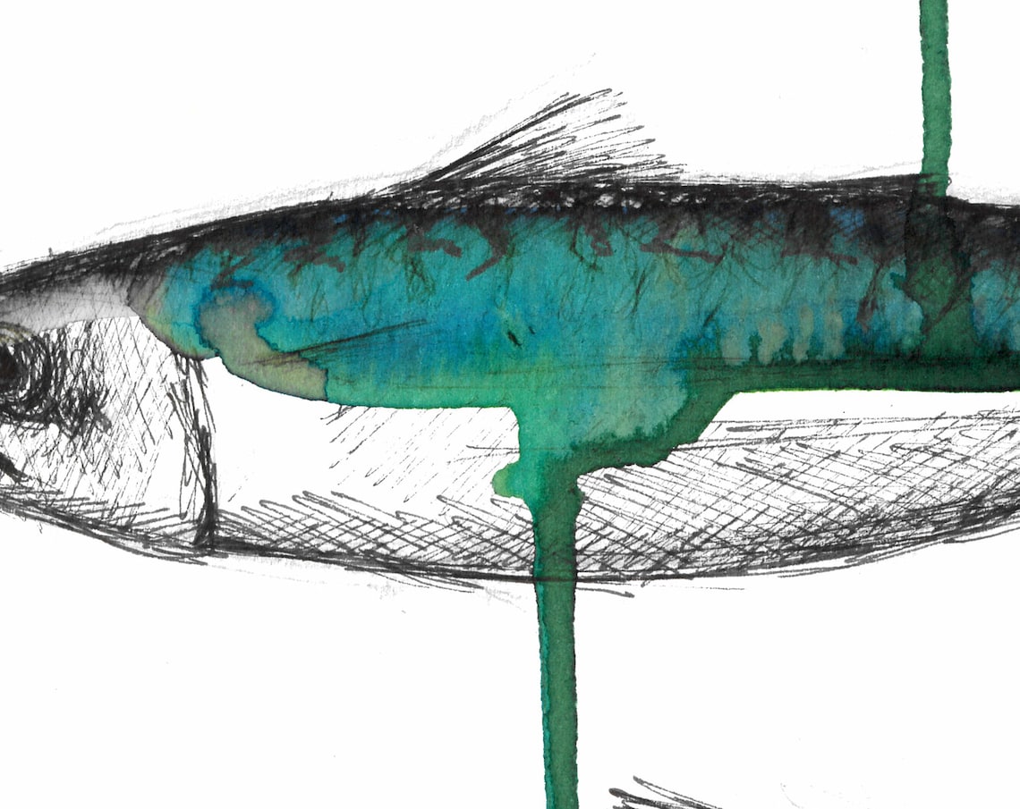 Five Ink Mackerel - Etsy UK