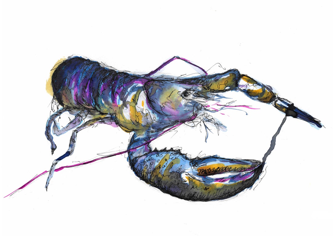 Lobster Ink Wall Art - Etsy