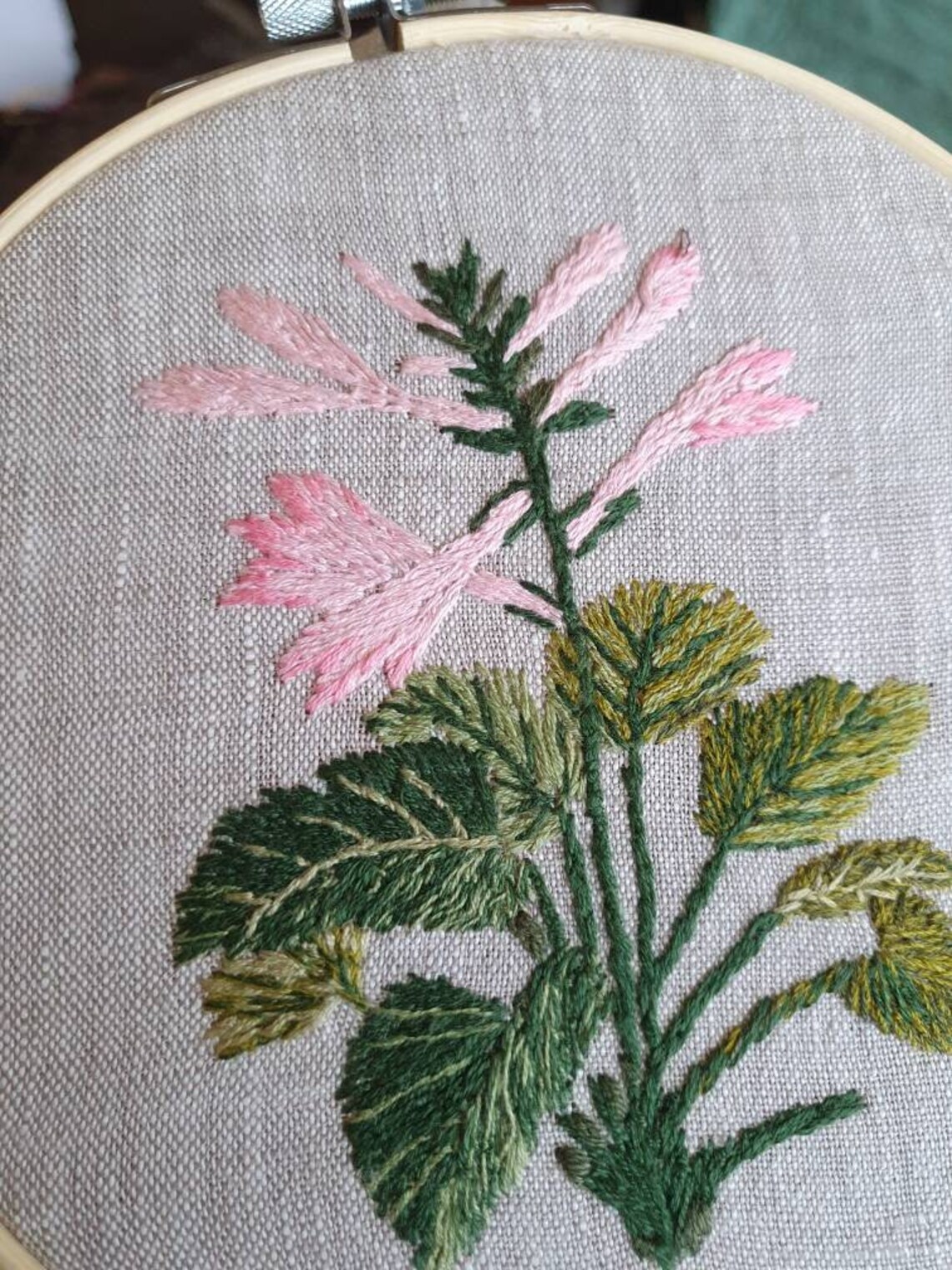 Botanical Wall Hanging in Wooden Frame of Green Plant With - Etsy