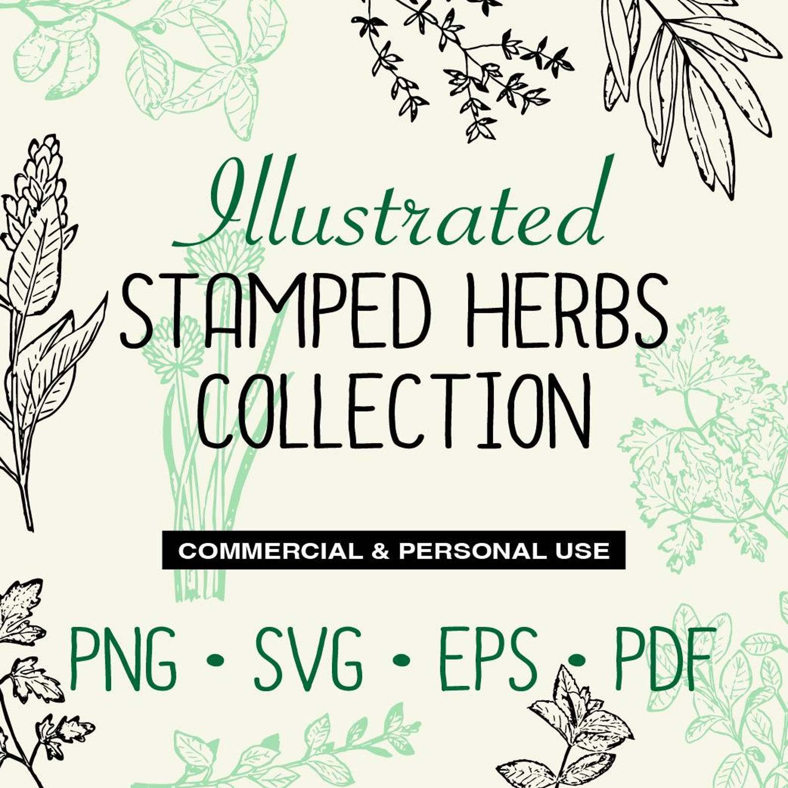 Illustrated Stamped Herbs, Herbs Png Svg Eps Pdf, Vector, Hand-drawn ...