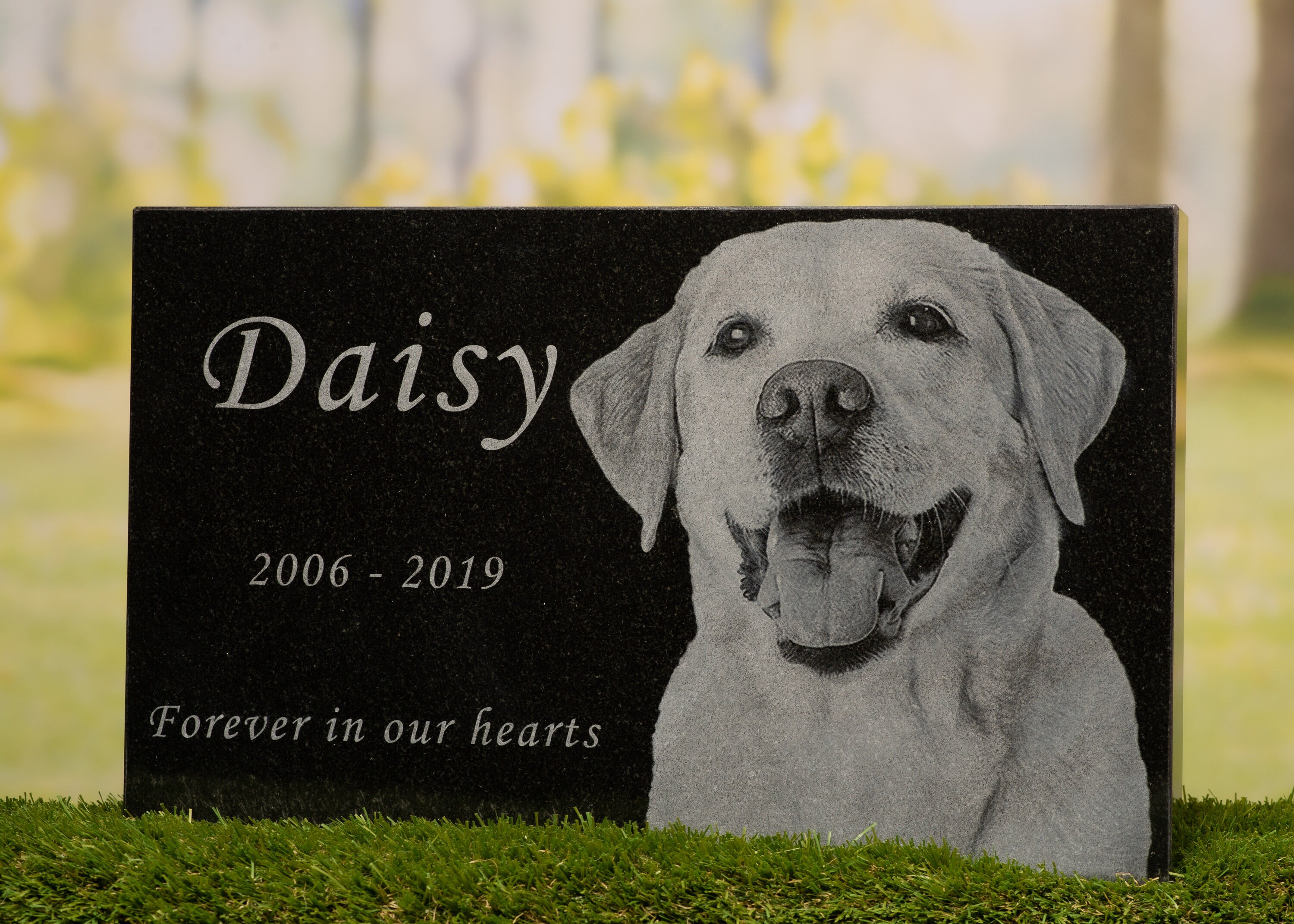 Photo Pet Memorial 10x16x2 Custom Engraved Pet Memorials - Etsy