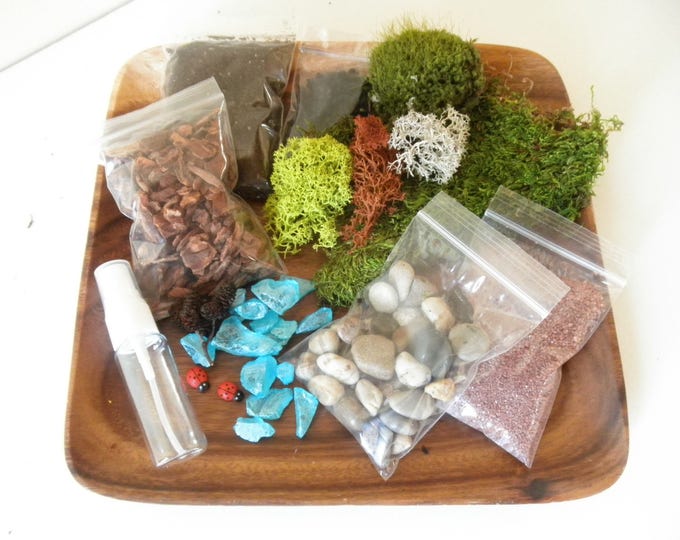 DIY - Colorful Terrarium Kit - Use Your Own Container - Etsy