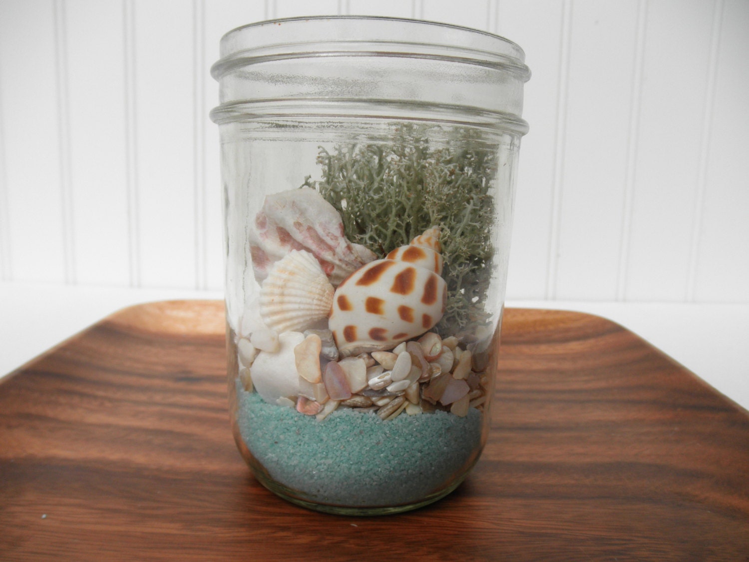DIY Just Beachy Beach Themed Terrarium Kit Use Your Own - Etsy
