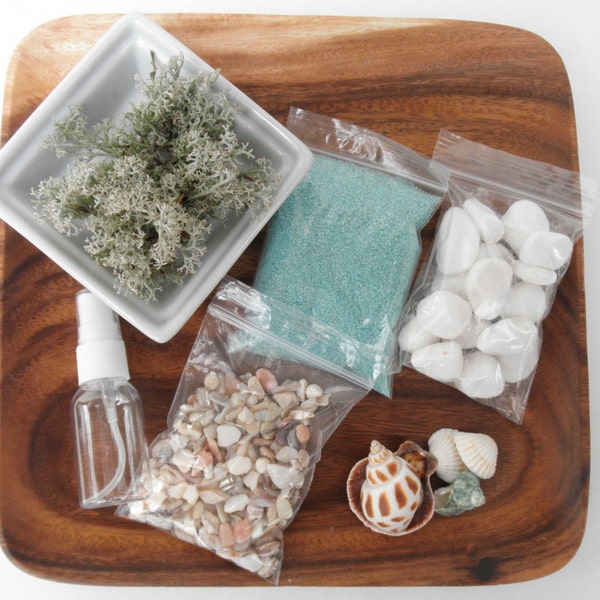 Beach Terrarium Kit - Etsy