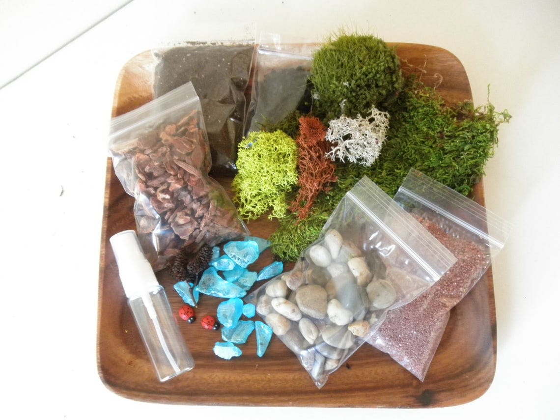 DIY Colorful Terrarium Kit Use Your Own Container | Etsy