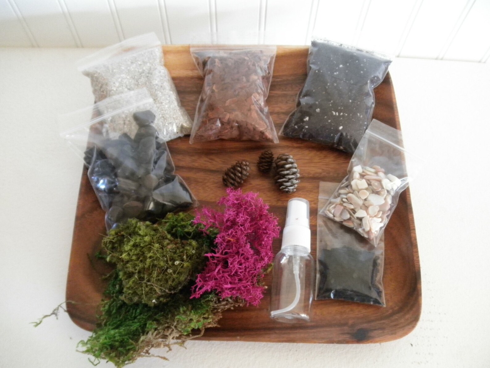 DIY Mod Moss Terrarium Kit Use Your Own Container - Etsy