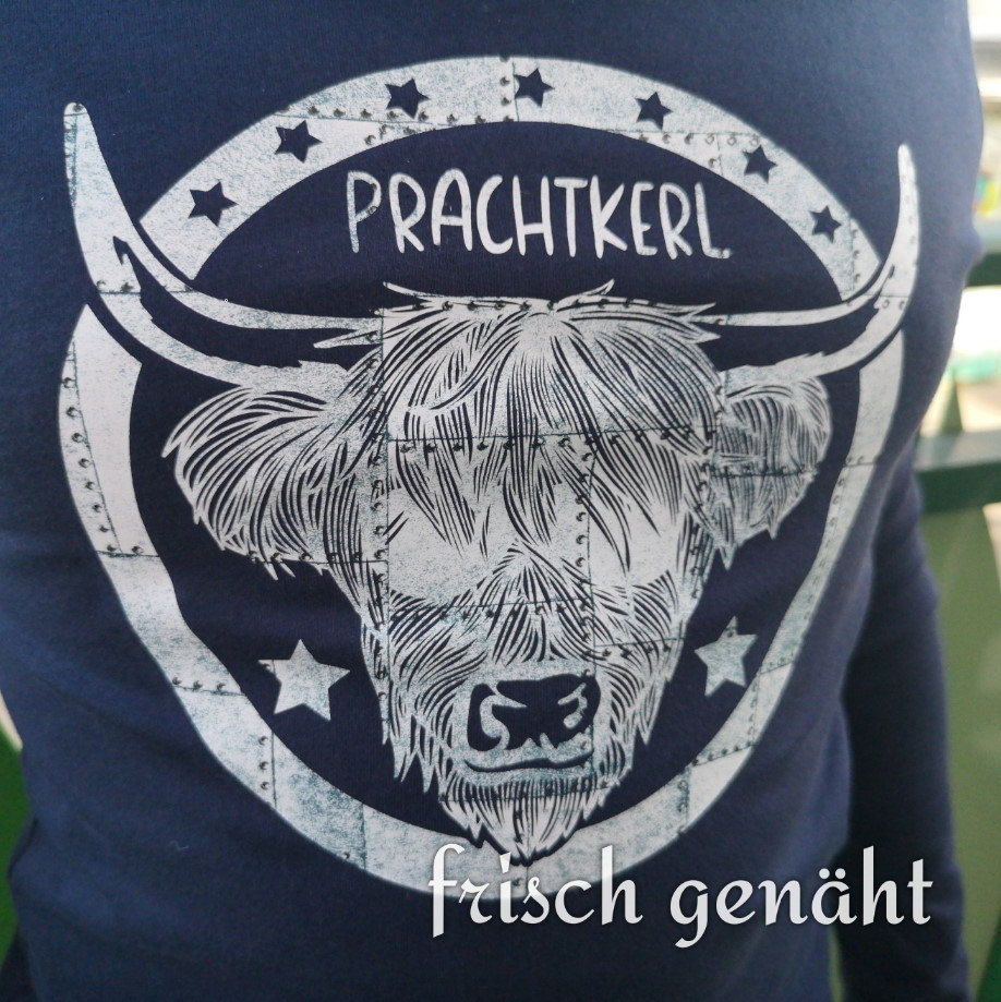 Plotterdatei DXF SVG Landleben Kuh Traktor Hochlandrind by - Etsy Schweiz