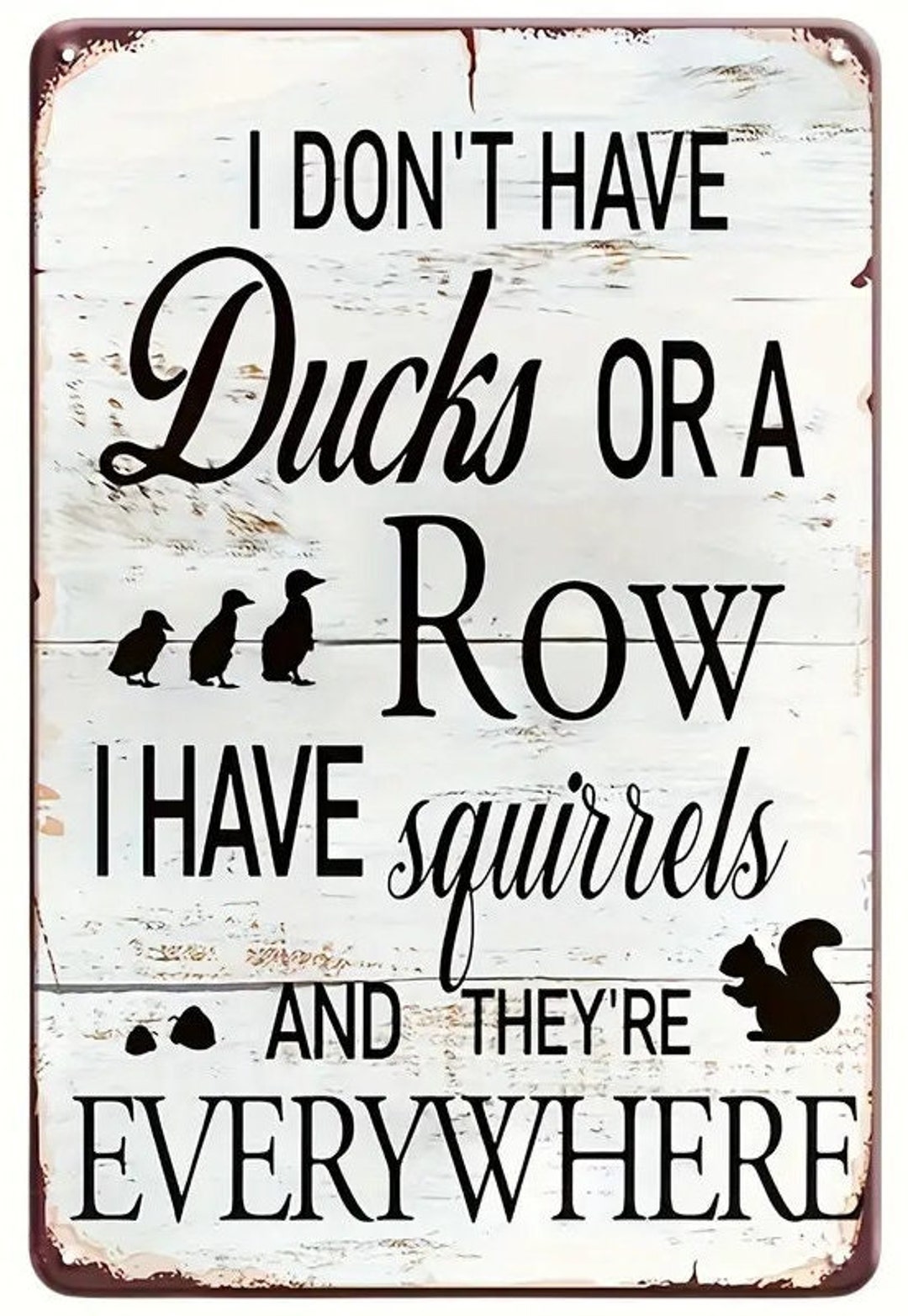 I Don't Have Ducks or a Row I Have Squirrels and They're Everywhere ...