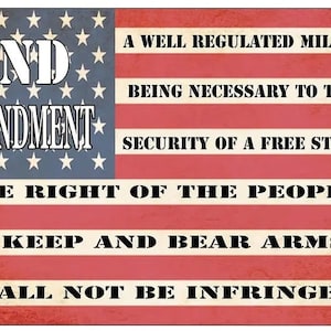 2nd Amendment Patriotic American Flag Vintage Style Tin Sign 8x12 Inch ...