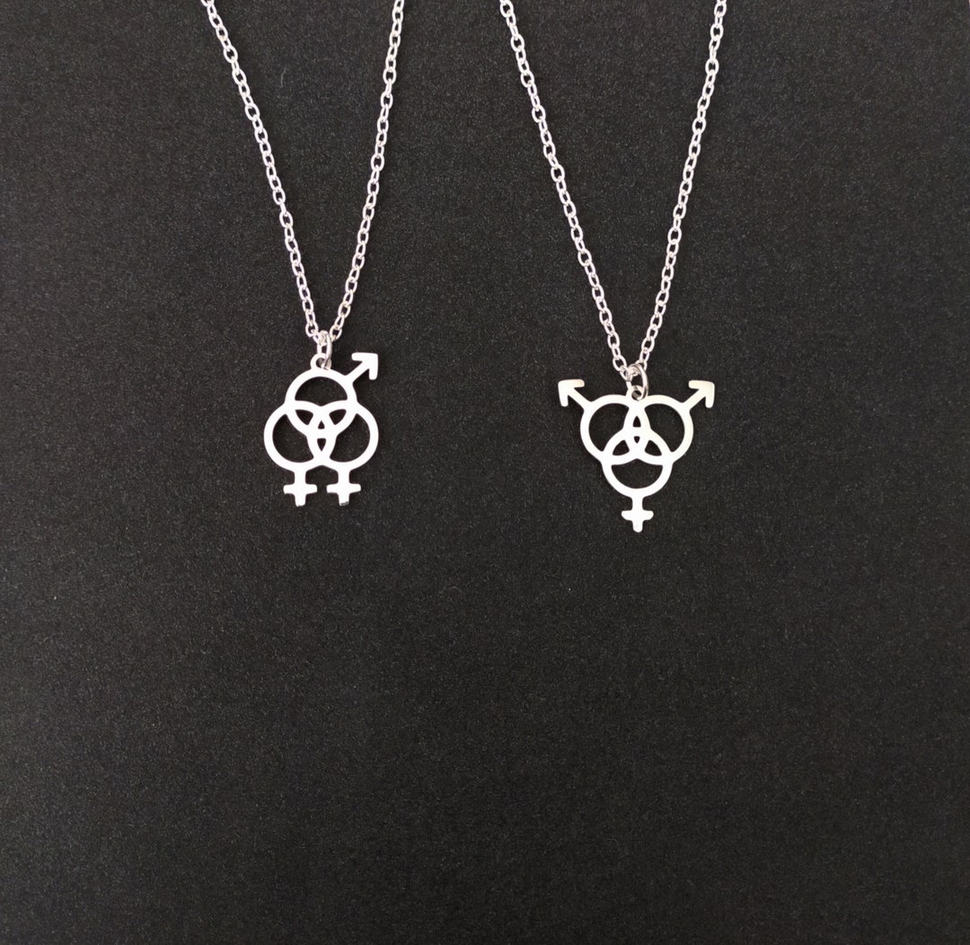 Stainless Steel Male or Female Bisexual Pendant Necklace on an 18 Inch ...