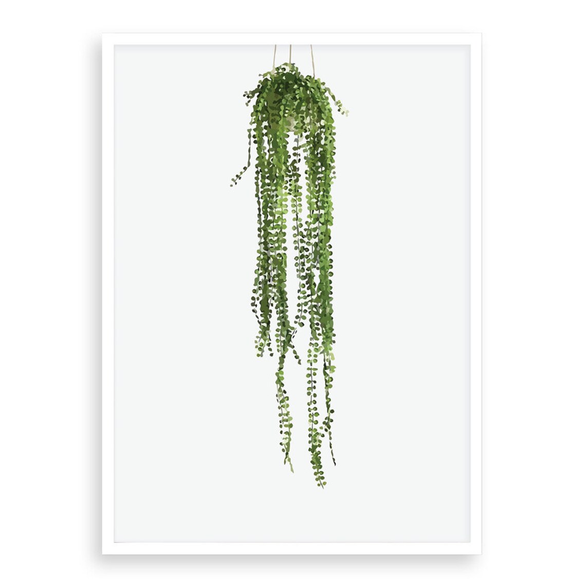 STRING OF PEARLS Botanical Wall Art Green Plant Art Plant - Etsy