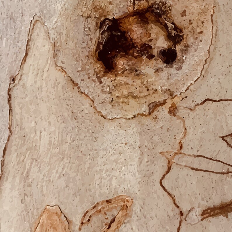 SCRIBBLY GUM TREE Art, Botanical Wall Art, Australian Prints ...