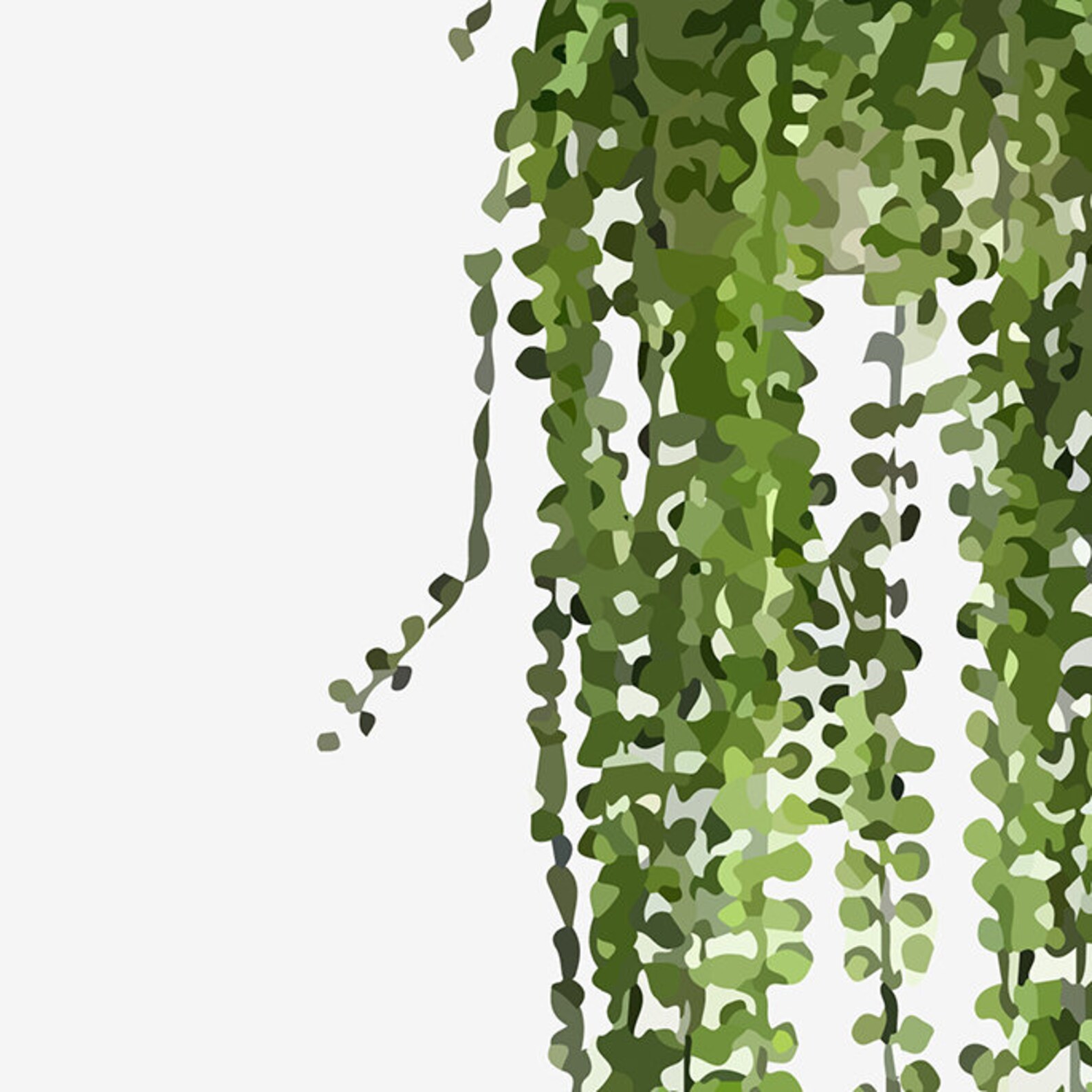 STRING OF PEARLS Botanical Wall Art Green Plant Art Plant - Etsy