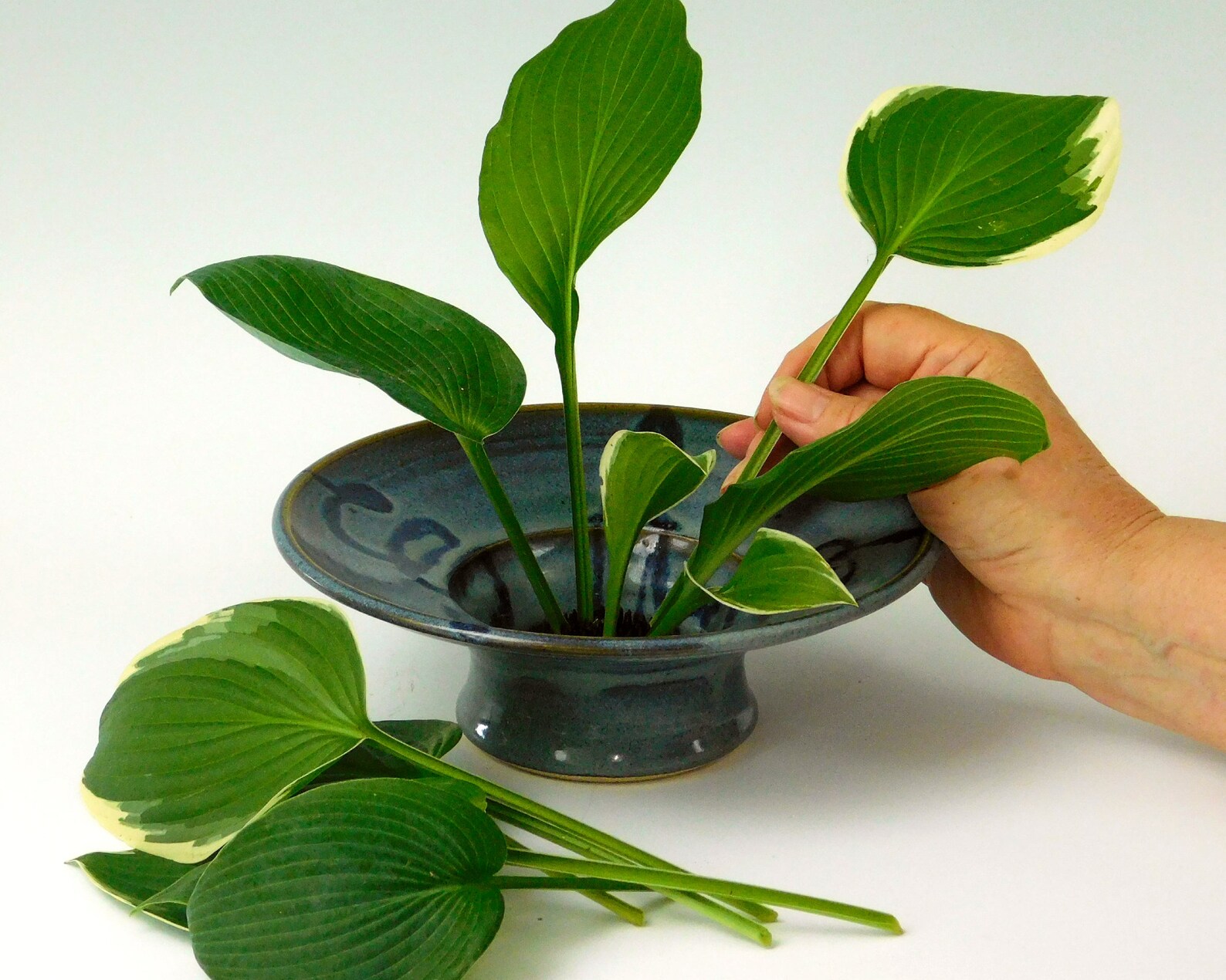 Ikebana Vase M With Pin Frog Japanese Style Flower - Etsy