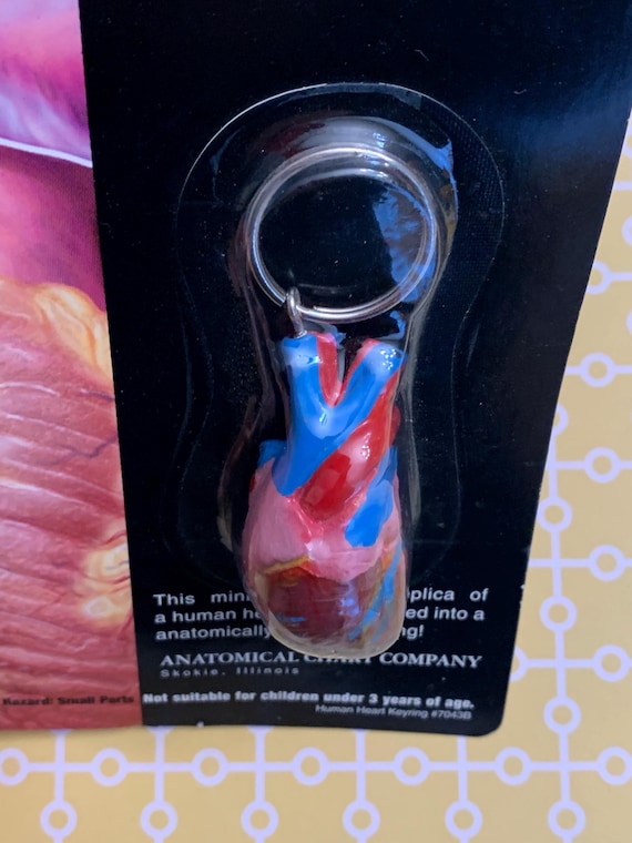 NOS - 3D Human Heart Model Keyring by Anatomical Char… - Gem