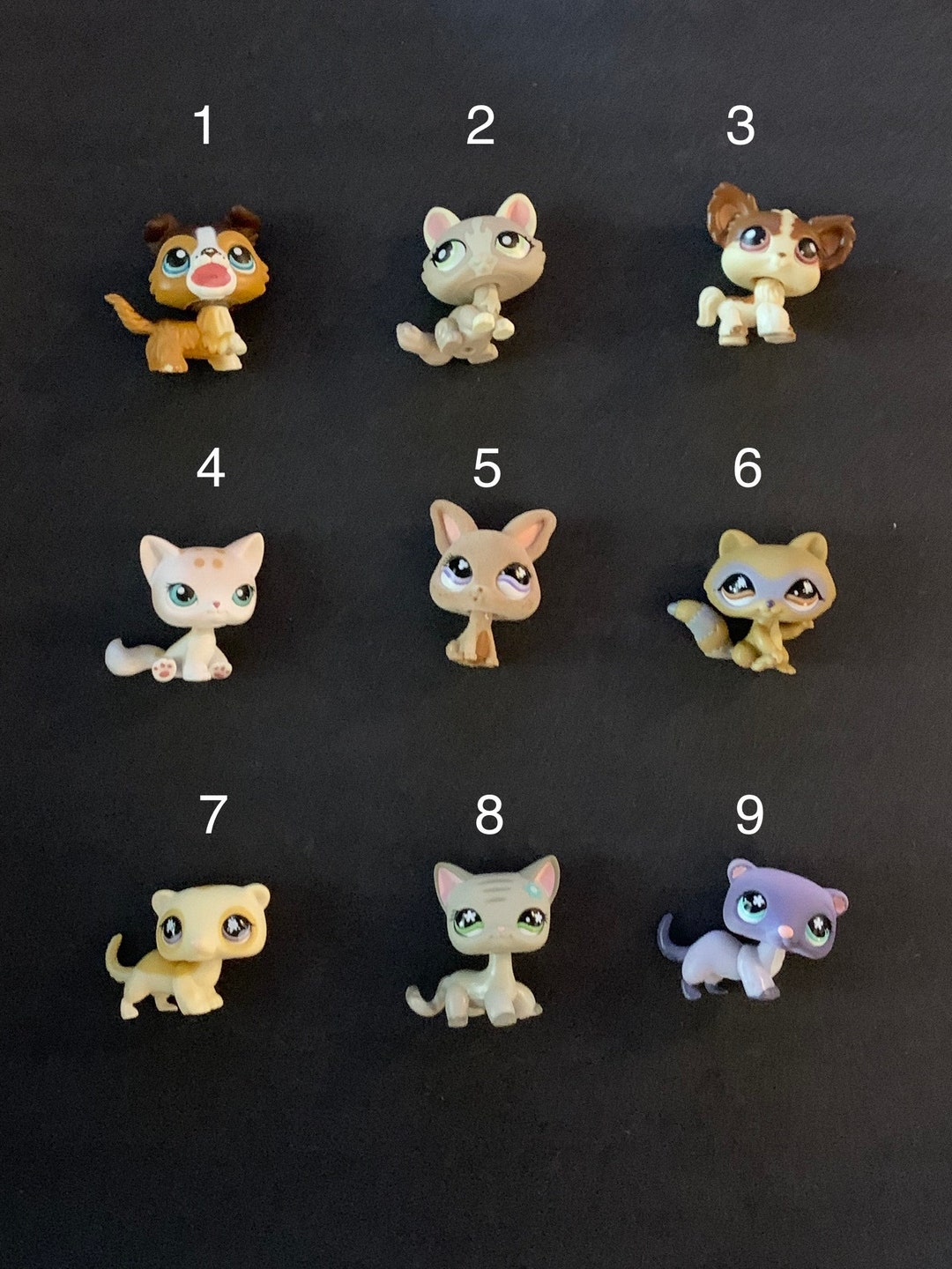 Littlest Pet Shop Pick a Pet Authentic Discontinued Assorted Animals ...