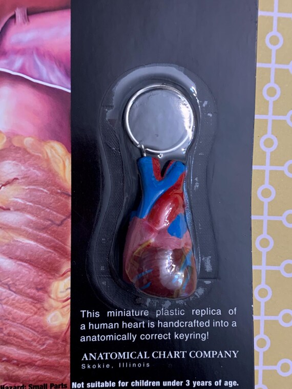 NOS - 3D Human Heart Model Keyring by Anatomical Char… - Gem