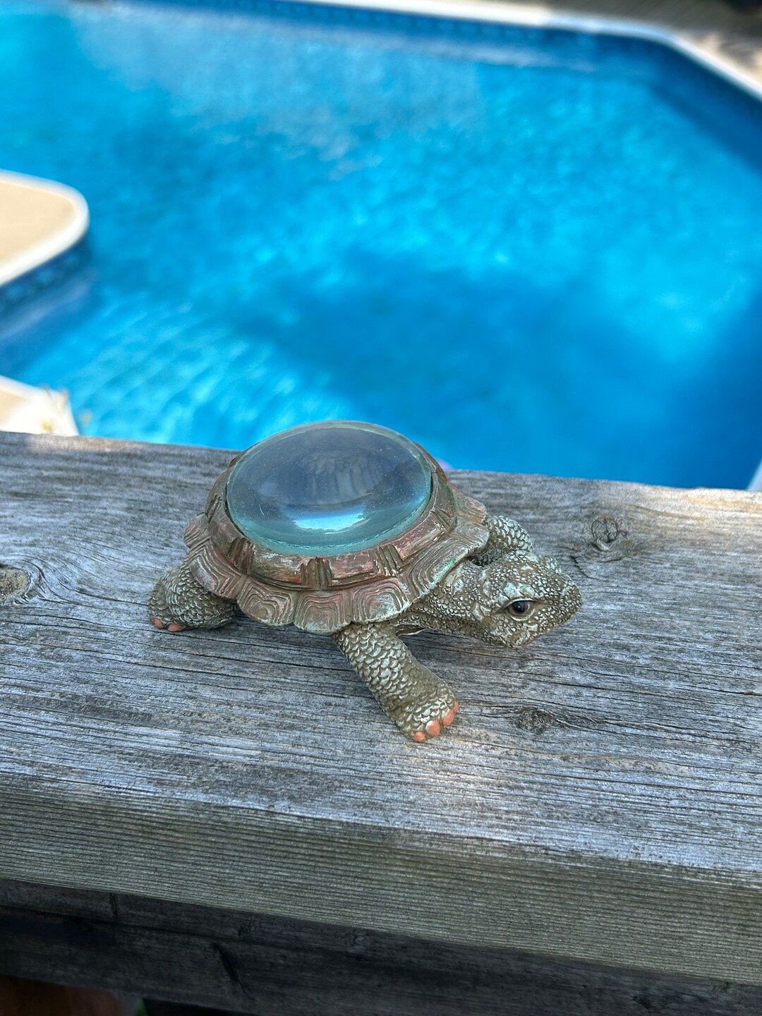 Cute Turtle Magnifying Glass - Office Decor Gift - Reading Tool - Etsy