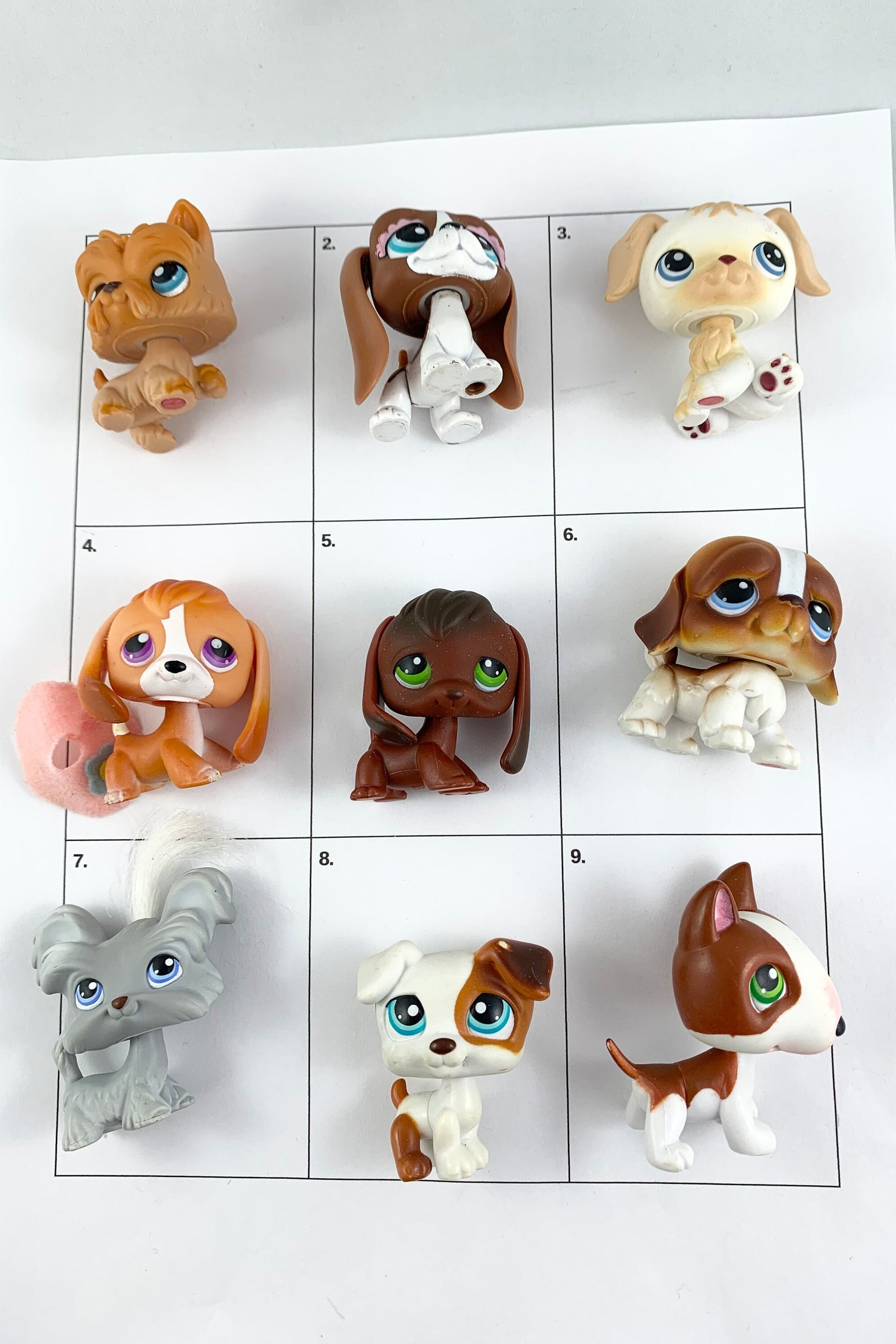 Authentic Littlest Pet Shop Pick a Pet Doggy Edition - Etsy